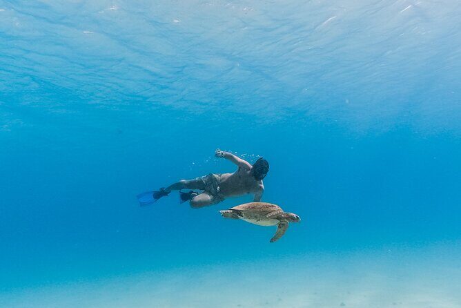 La Paz World class Snorkeling in Balandras Hidden Beaches - Pricing and Value