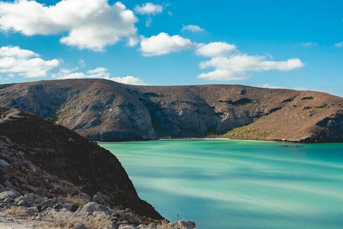 La Paz World class Snorkeling in Balandras Hidden Beaches - The Experience Through Travelers’ Eyes