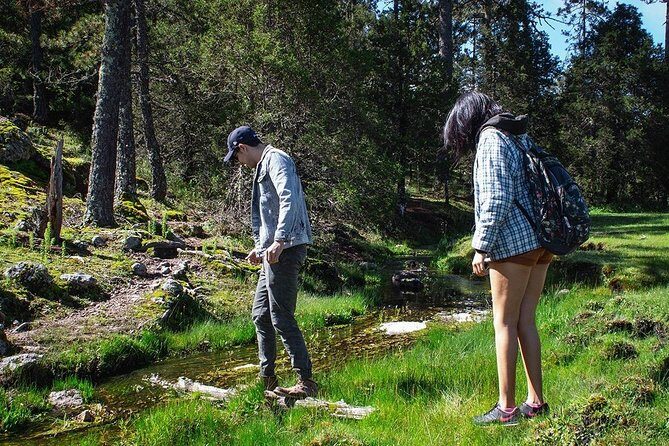 La Pirámide Park // WALK AND DISCOVER THE PARK - Key Points