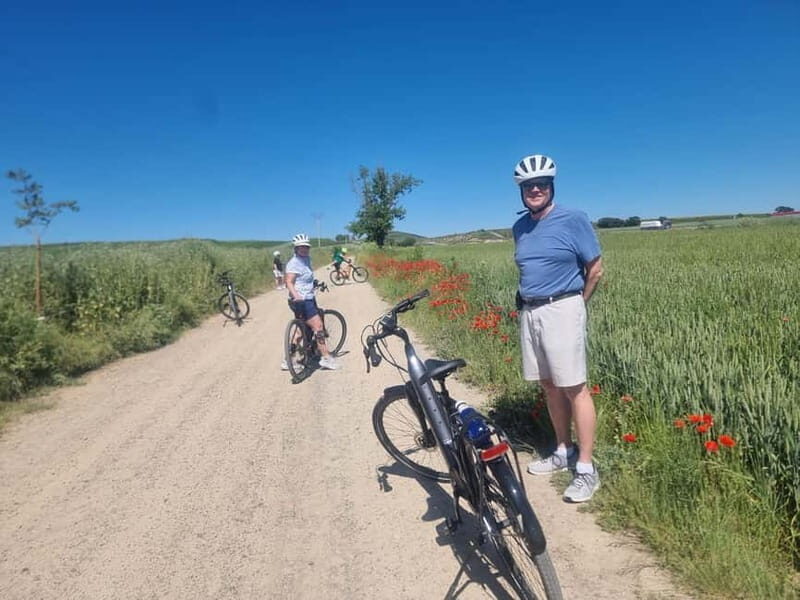 La Rioja: Guided Bike Tour - Key Points