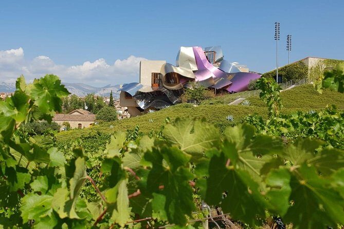 La Rioja wine tour: winery and traditional lunch from Bilbao - What Makes This Tour Stand Out?
