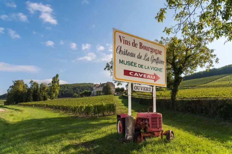 La Roche Vineuse: Visit the Vine and Wine Museum - Key Points