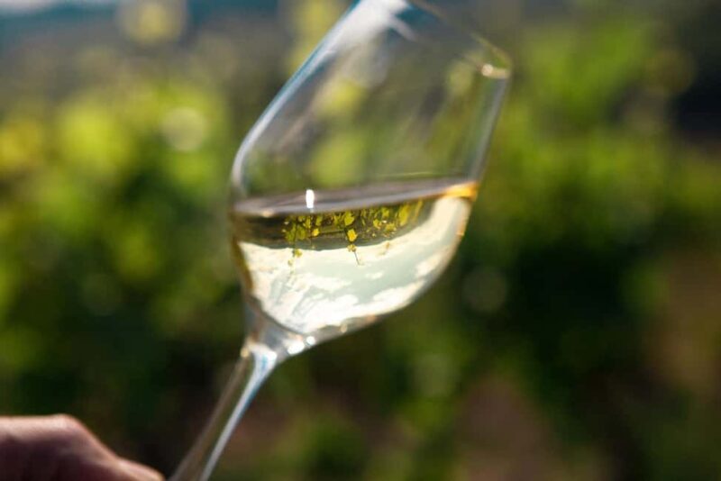 La Roche Vineuse: Visit the Vine and Wine Museum - The Experience: What to Expect and Why It Matters