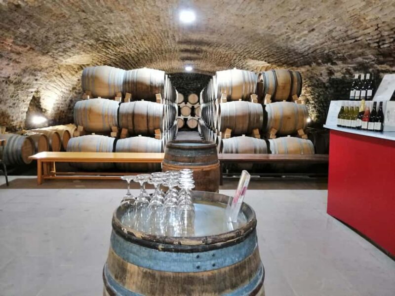 La Roche Vineuse: Visit the Vine and Wine Museum - FAQ
