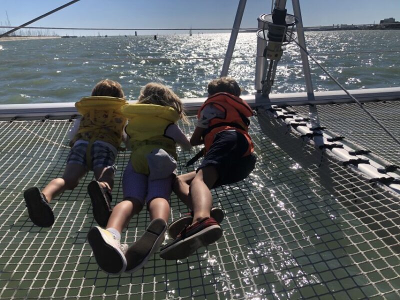 La Rochelle: Catamaran Cruise - What to Expect on the La Rochelle Catamaran Cruise