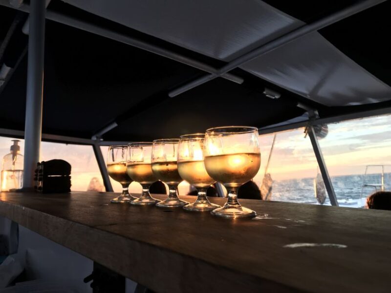 La Rochelle: Catamaran Cruise - Reviews and Real Traveler Insights