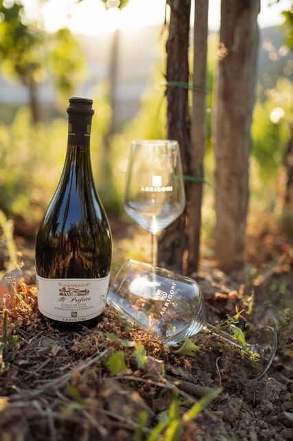 La Spezia: 4 Wines Degustation - Key Points