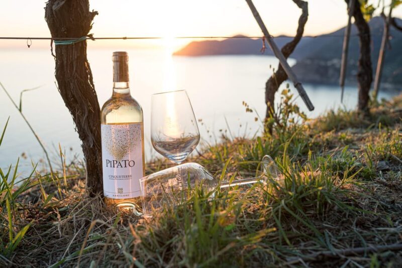 La Spezia: 4 Wines GOLD Degustation - Exploring the Experience in Detail