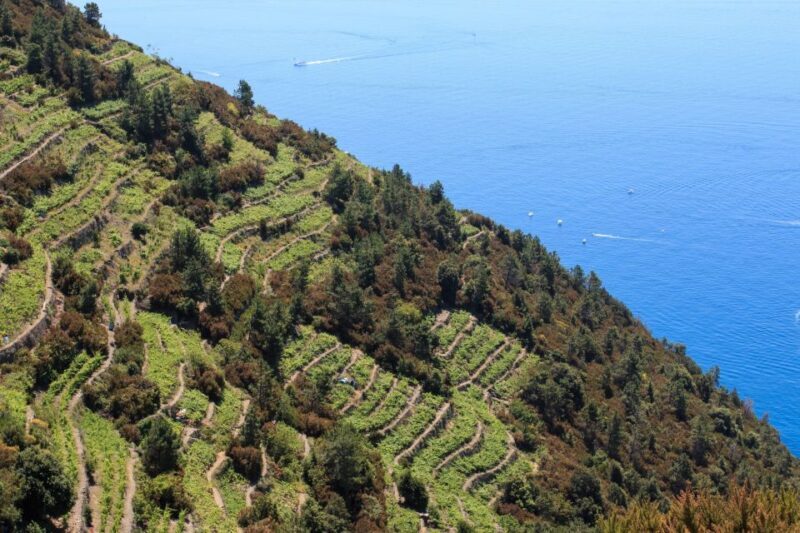 La Spezia: Cinque Terre Guided Hiking Tour - Who Should Consider This Tour