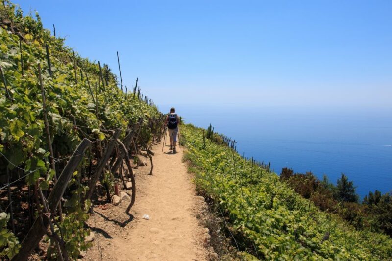 La Spezia: Cinque Terre Guided Hiking Tour - Final Thoughts
