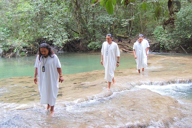 Lacandon Jungle Adventure and Bonampak Archaelogical Site from Palenque - What the Reviews Reveal