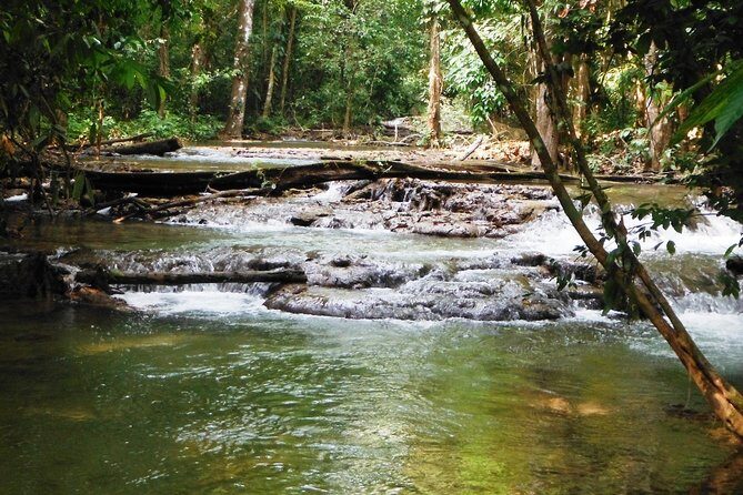 Lacandon Jungle Adventure and Bonampak Archaelogical Site from Palenque - Value for Money