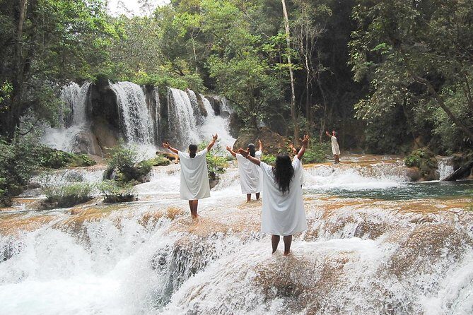 Lacandon Jungle Adventure and Bonampak Archaelogical Site from Palenque - Who Is This Tour Best For?