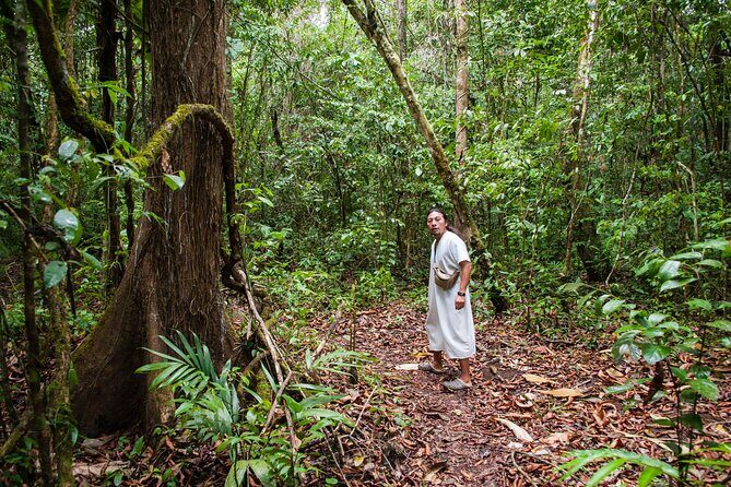 Lacandon Jungle Adventure and Bonampak Archaelogical Site from Palenque - The Sum Up