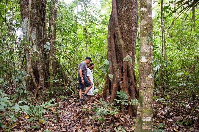 Lacandon Jungle Adventure and Bonampak Archaelogical Site from Palenque - FAQ
