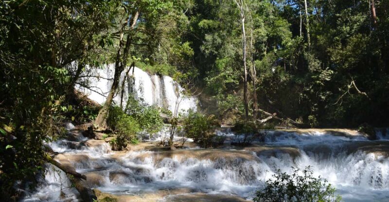 Lacandon Jungle Adventure and Bonampak Archaelogical Site - Practical Details and Tips