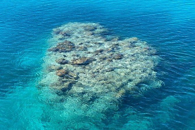 Lady Musgrave Day Trip from Bundaberg Including Snorkeling - Final Thoughts