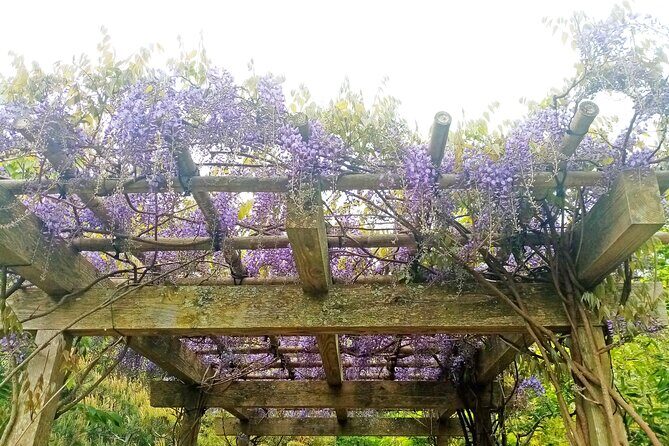 Lafcadio Hearn Japanese Gardens Admission Adult Ticket - FAQ