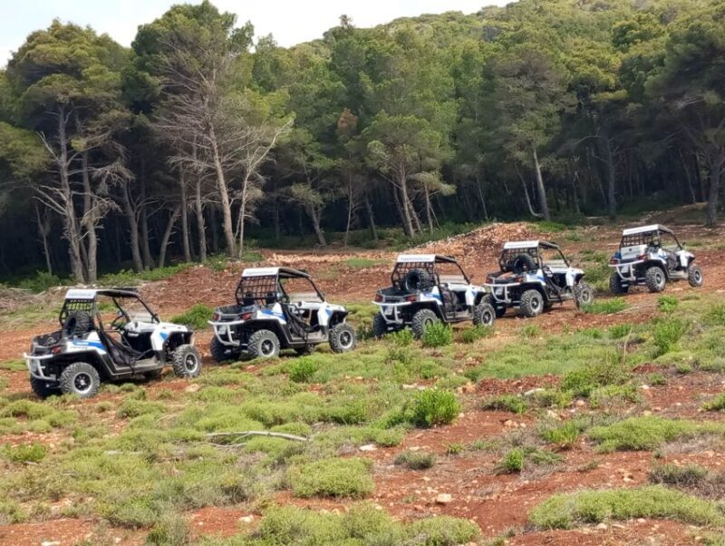 Laganas: Off-Road Buggy Adventure in Zakynthos with Lunch - Who Should Book This?