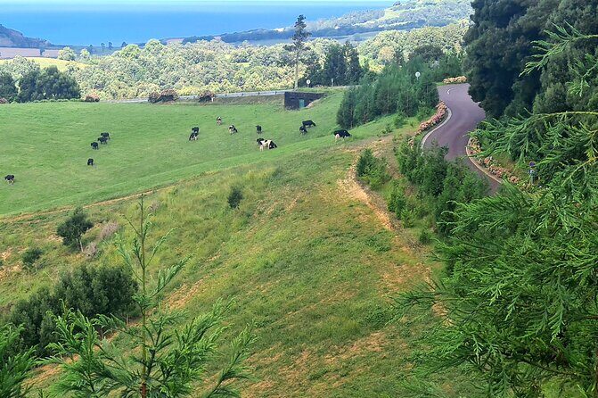 Lagoa do Fogo and Ribeira Grande Half Day Private Tour - Exploring São Miguel in a Half-Day: The Itinerary Breakdown