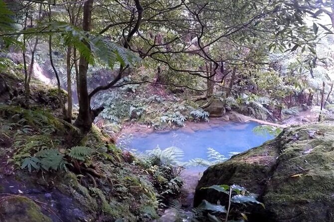 Lagoa do Fogo: Biologist-guided Volcano Geo Tour +hotsprings bath - Final Thoughts