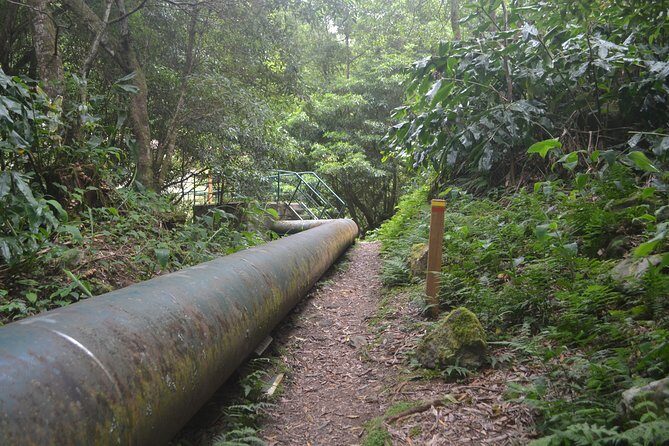 Lagoa do Fogo, Hike Salto do Cabrito and Hotsprings - FAQs