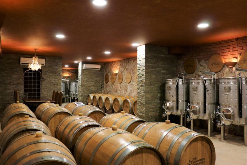 Lagoa: Guided Winery Tour and Local Wine Tasting - Who Should Consider This Tour?