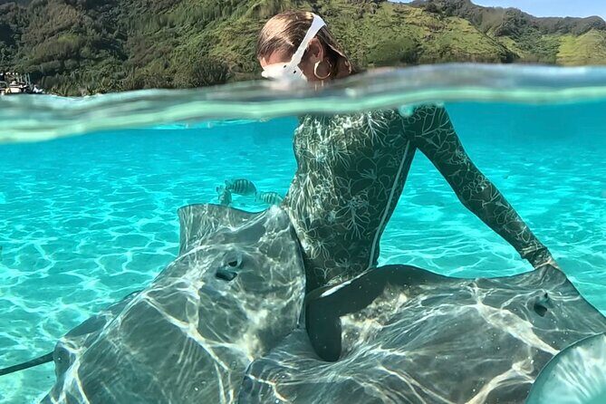 Lagoon and Marine Wildlife Tour in Moorea - Key Points