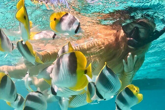 Lagoon and Marine Wildlife Tour in Moorea - Who is This Tour Best For?