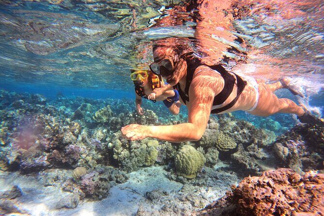 Lagoon and Marine Wildlife Tour in Moorea - FAQs