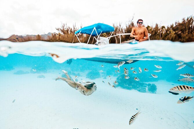 Lagoon and Wildlife Discovery on a Private Boat in Moorea - Key Points