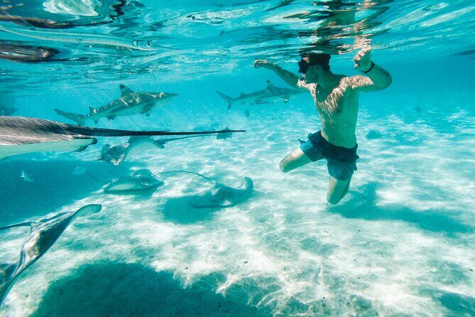 Lagoon and Wildlife Discovery on a Private Boat in Moorea - Unpacking the Experience: What You Can Expect