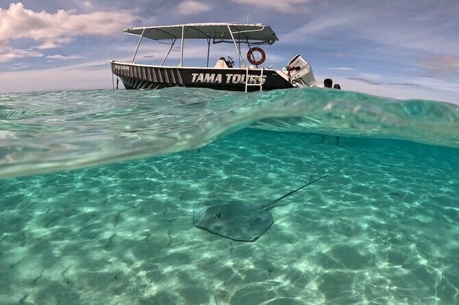 Lagoon Exploration and Snorkeling in Moorea - The Itinerary Breakdown: What You Can Expect