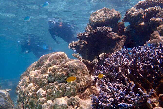 Lagoon Explorer - Ningaloo Reef Full-Day Kayaking and Snorkeling Adventure - FAQ