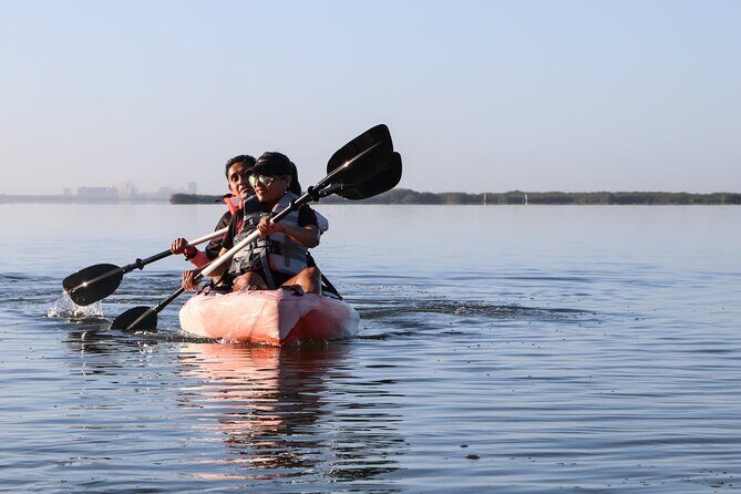 Lagoon Mangrove Tour, Kayaking and Sightseeing from Cancun - Key Points