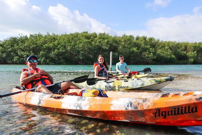Lagoon Mangrove Tour, Kayaking and Sightseeing from Cancun - Final Thoughts: Is It Worth It?