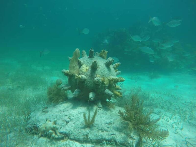 Lagoon ride and snorkeling - FAQ