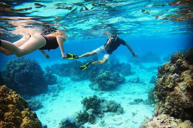 Lagoon Tour in Moorea in Small Group with Lunch - Who Will Love This Tour?
