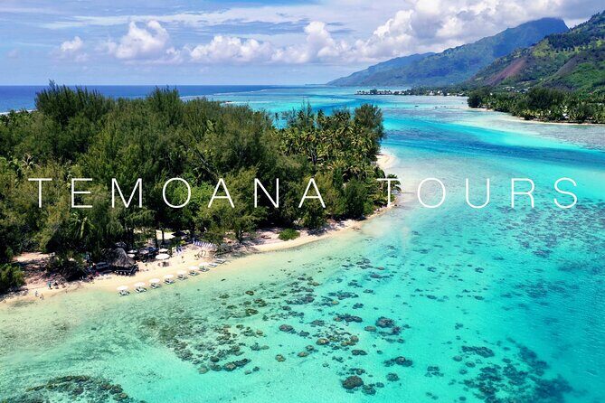 Lagoon Tour + lunch with your feet in the water on a Motu - Detailed Breakdown of the Itinerary