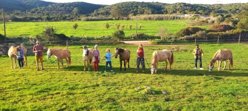 Lagos: A walk with a rescued horse at the sanctuary - What to Expect from the Experience