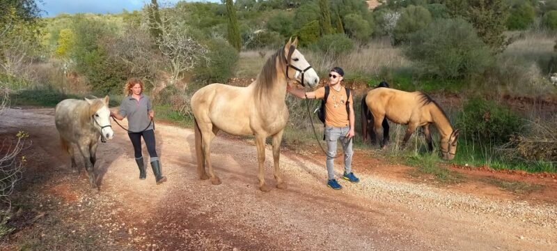 Lagos: A walk with a rescued horse at the sanctuary - Who Will Love This Tour?