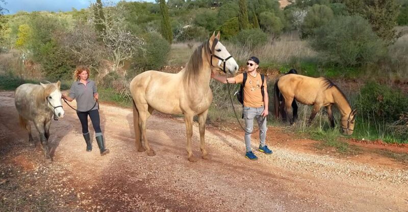 Lagos: A walk with a rescued horse at the sanctuary - The Sum Up