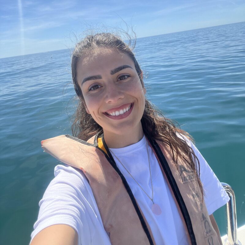 Lagos: Dolphin Watch Tour with Professional Marine Biologist - Key Points