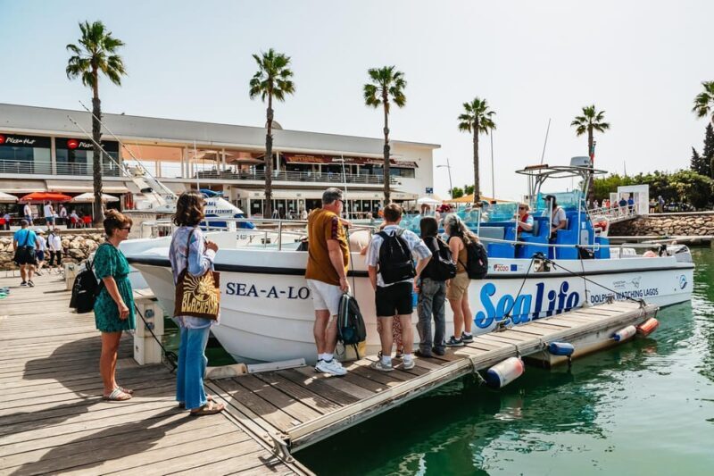 Lagos: Dolphin Watch Tour with Professional Marine Biologist - The Experience & Sights — What Youll Love
