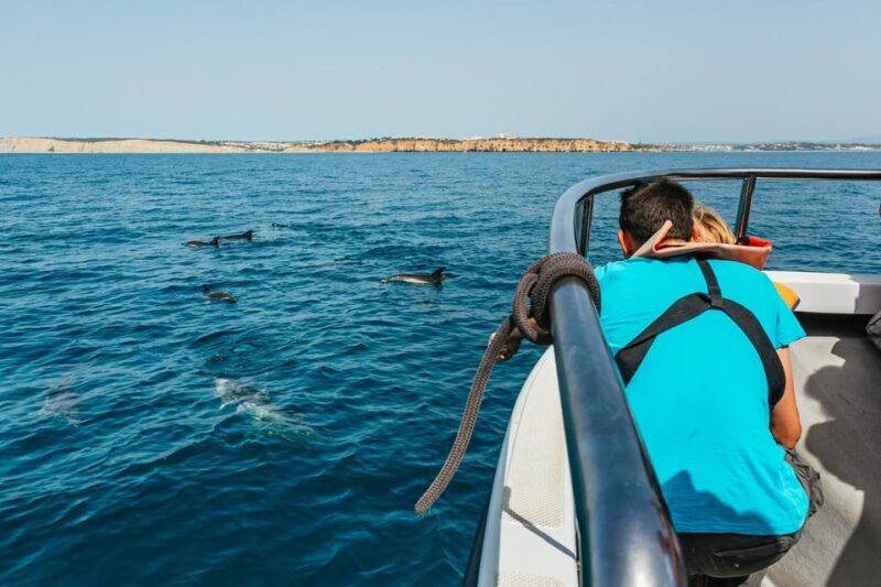 Lagos: Dolphin Watch Tour with Professional Marine Biologist - The Value for Money & Why It’s Worth It