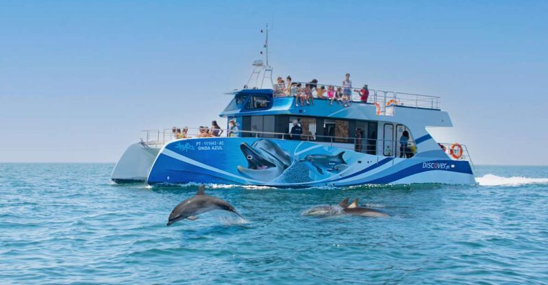 Lagos: Dolphins & Caves - Catamaran - A Detailed Look at the Experience  
