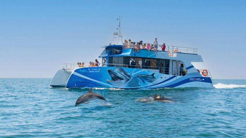 Lagos: Dolphins & Caves - Catamaran - Who Is This Tour Best For?  
