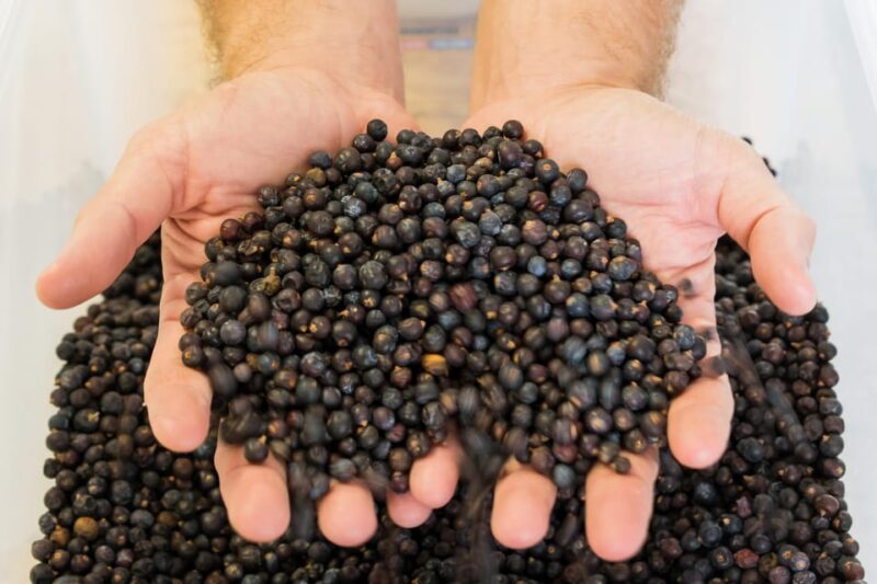 Lagos: Guided Gin Distillery Tour With Tasting at Alma Luz - Final Thoughts