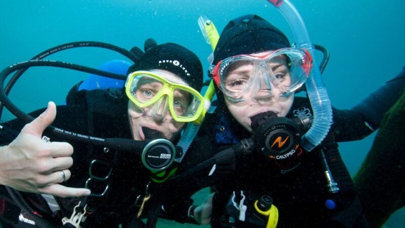 Lagos: Guided Scuba Diving Trip for Beginners - The Sum Up: Who Is This Tour Best For?