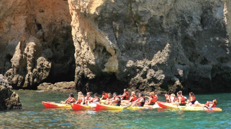 Lagos: Kayaking Tour - Who Will Love This Tour?
